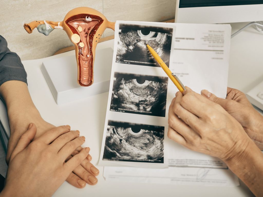 Ultrasonografia piersi, jajników i jąder – co warto wiedzieć ...